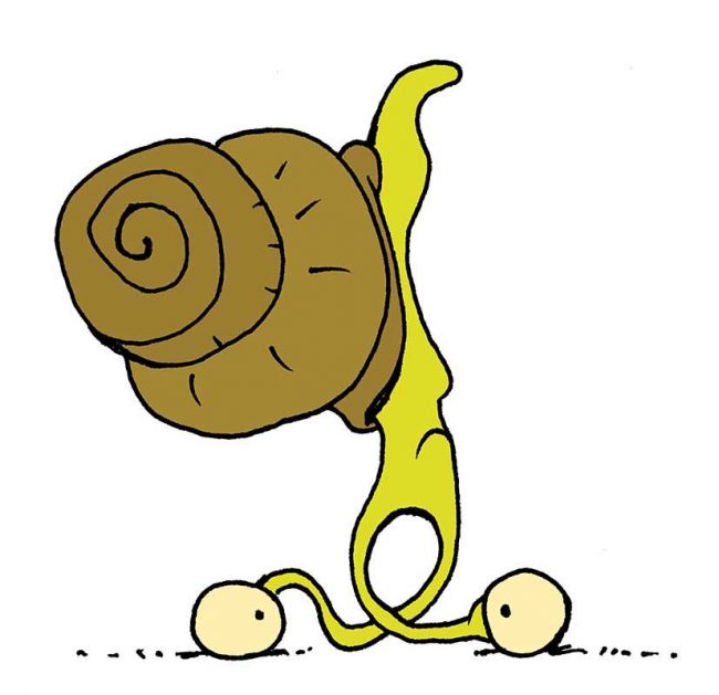 Snail and Turtle are Friends - Stephen Michael King