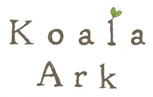 Koala Ark - Stephen Michael King
